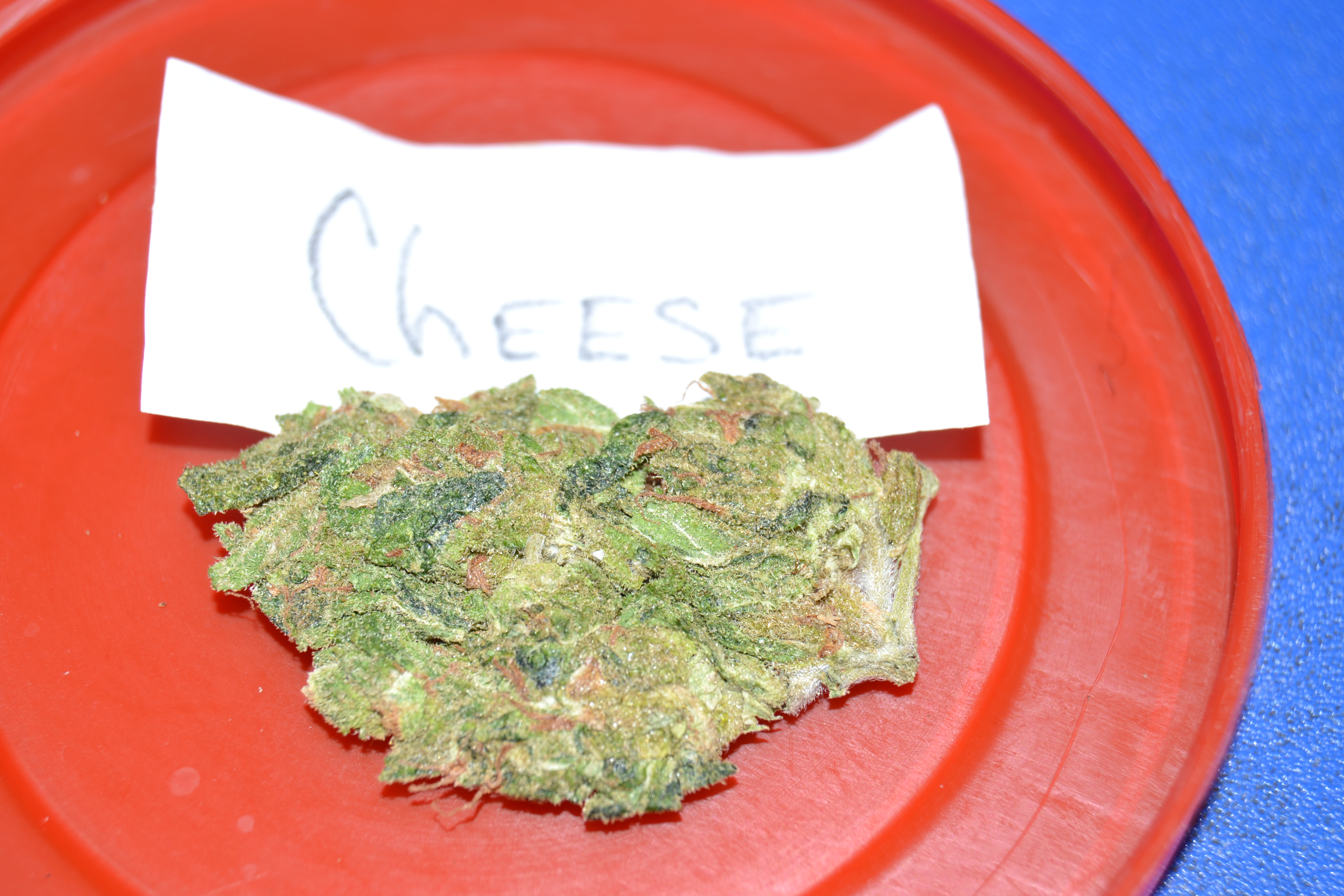 Каннабис - Шишка Сорта (Cheese) "Miss Banana Cake" от The Cookie ...